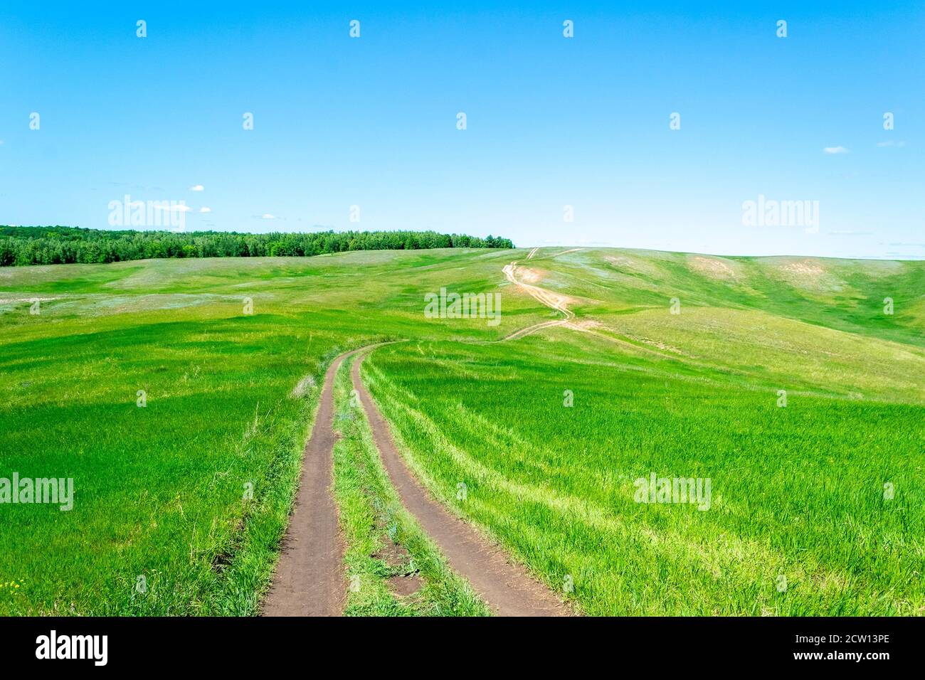 Summer outdoor green grass field with road path Stock Photo - Alamy