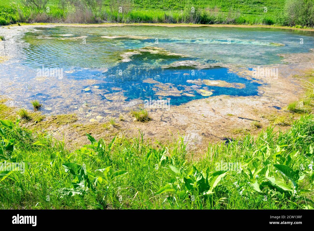 Polluted river blue hi-res stock photography and images - Alamy