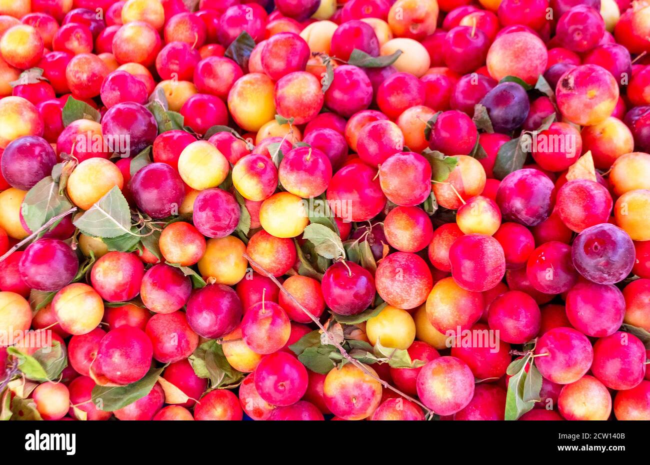 Fresh colorful fruits plums at the market as background, top view Stock ...