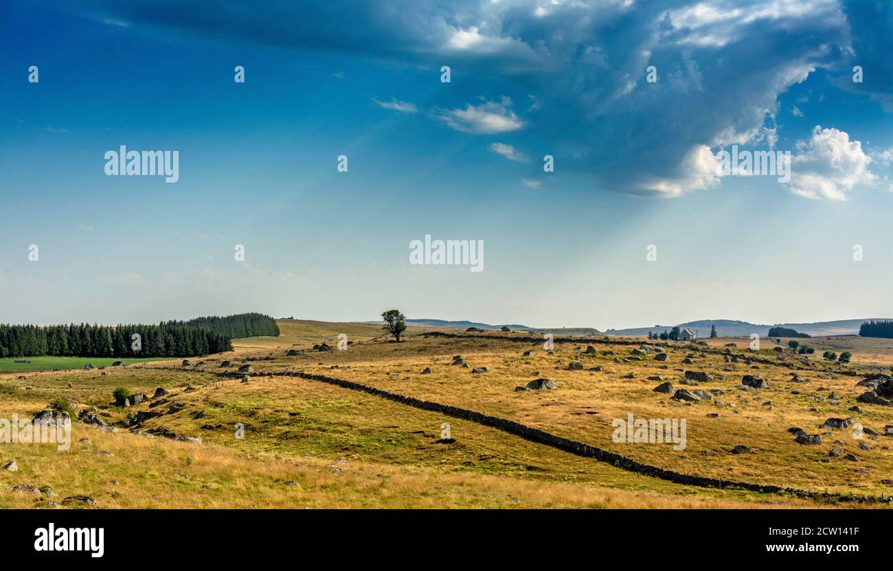 The Aubrac plateau, Aubrac, Lozere, France, Europe Stock Photo - Alamy