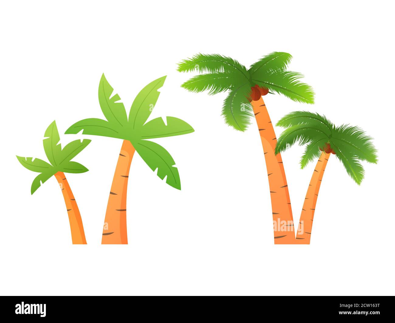 Tropical plants natural beach forest Cut Out Stock Images & Pictures ...
