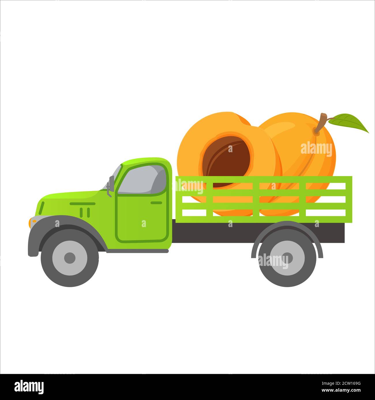 Food delivery truck apricot fruit harvesting. Car illustration vector ...