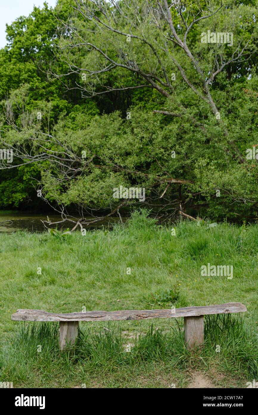 A rustic wooden plank bench on two posts in a grassy field with thick ...