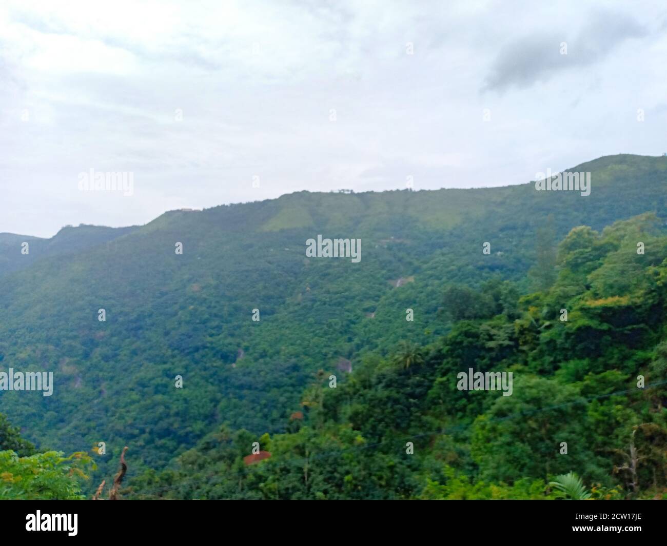 a high range mountain and trees a view from idukki india Stock Photo ...