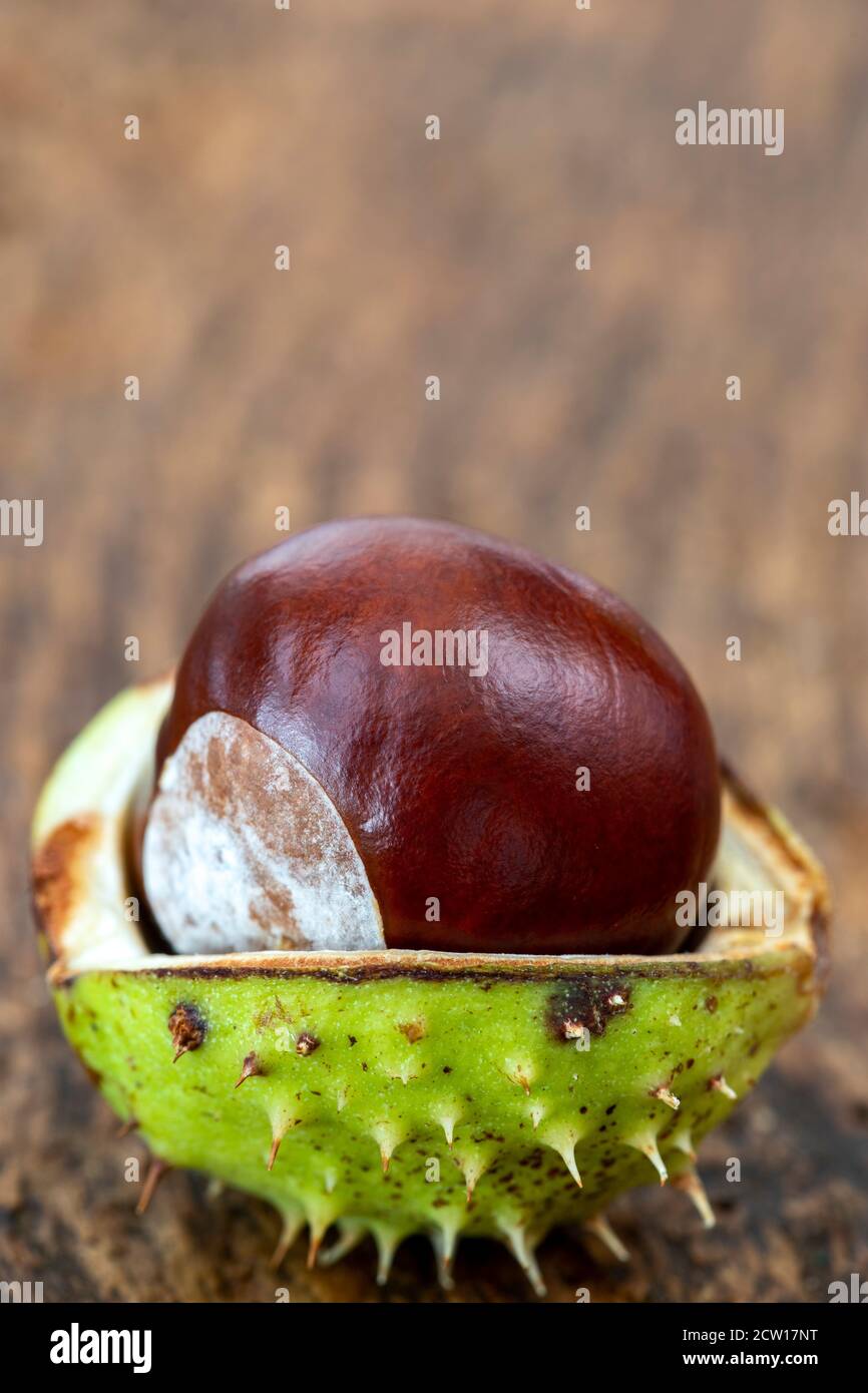 Dark shell splash hi-res stock photography and images - Alamy