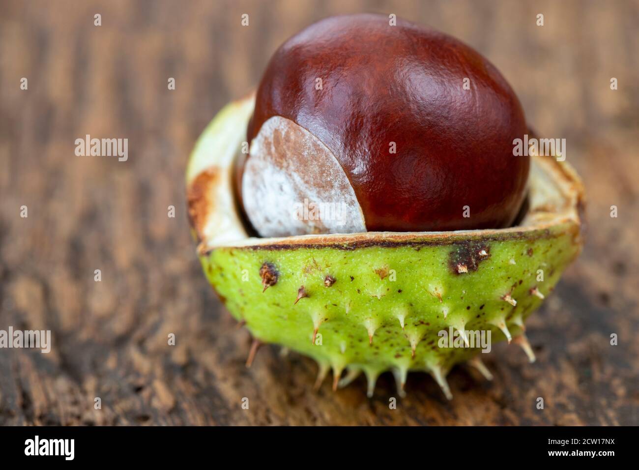 Dark shell splash hi-res stock photography and images - Alamy
