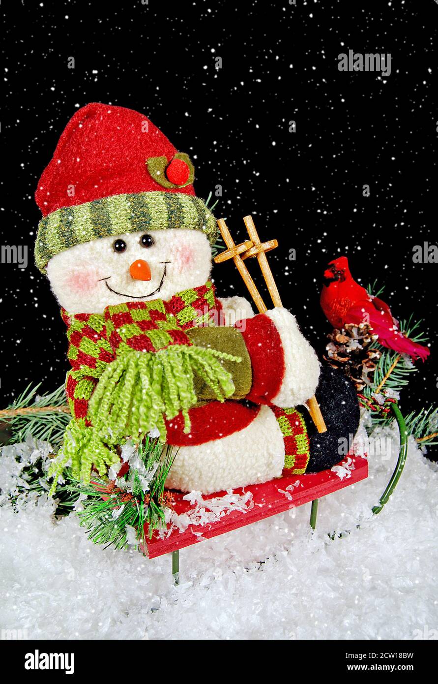 Christmas snowman on sled with cardinal bird in snowflakes Stock Photo ...