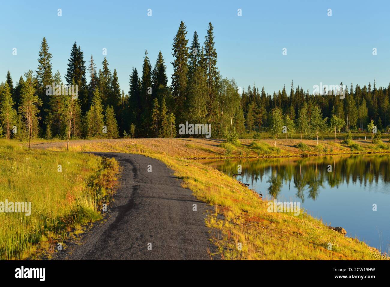 Green forest lake shore sunny hi-res stock photography and images - Alamy