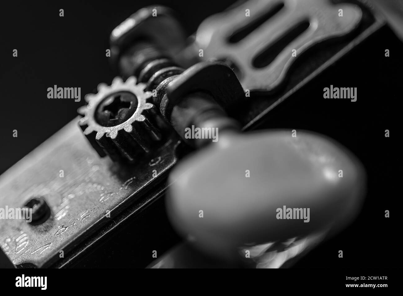 Tuning mechanics of a guitar in detail, detailed photo of tuning screws ...