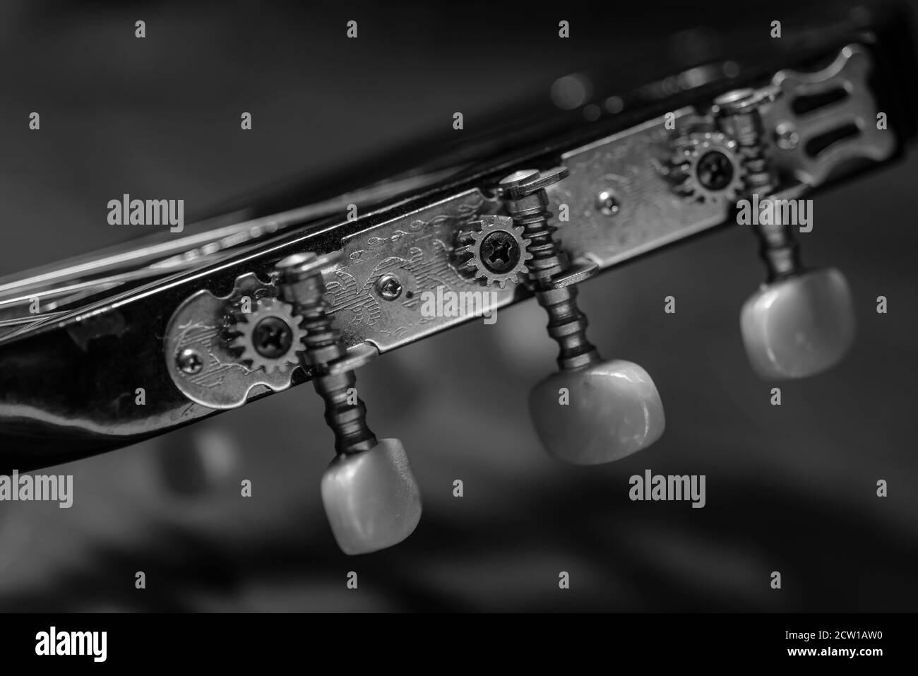 Tuning mechanics of a guitar in detail, detailed photo of tuning screws ...