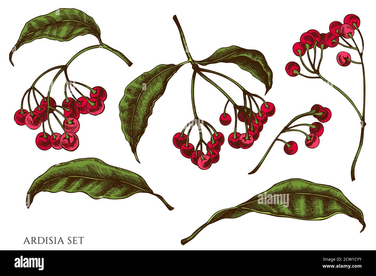 Coral spring tree Stock Vector Images - Alamy