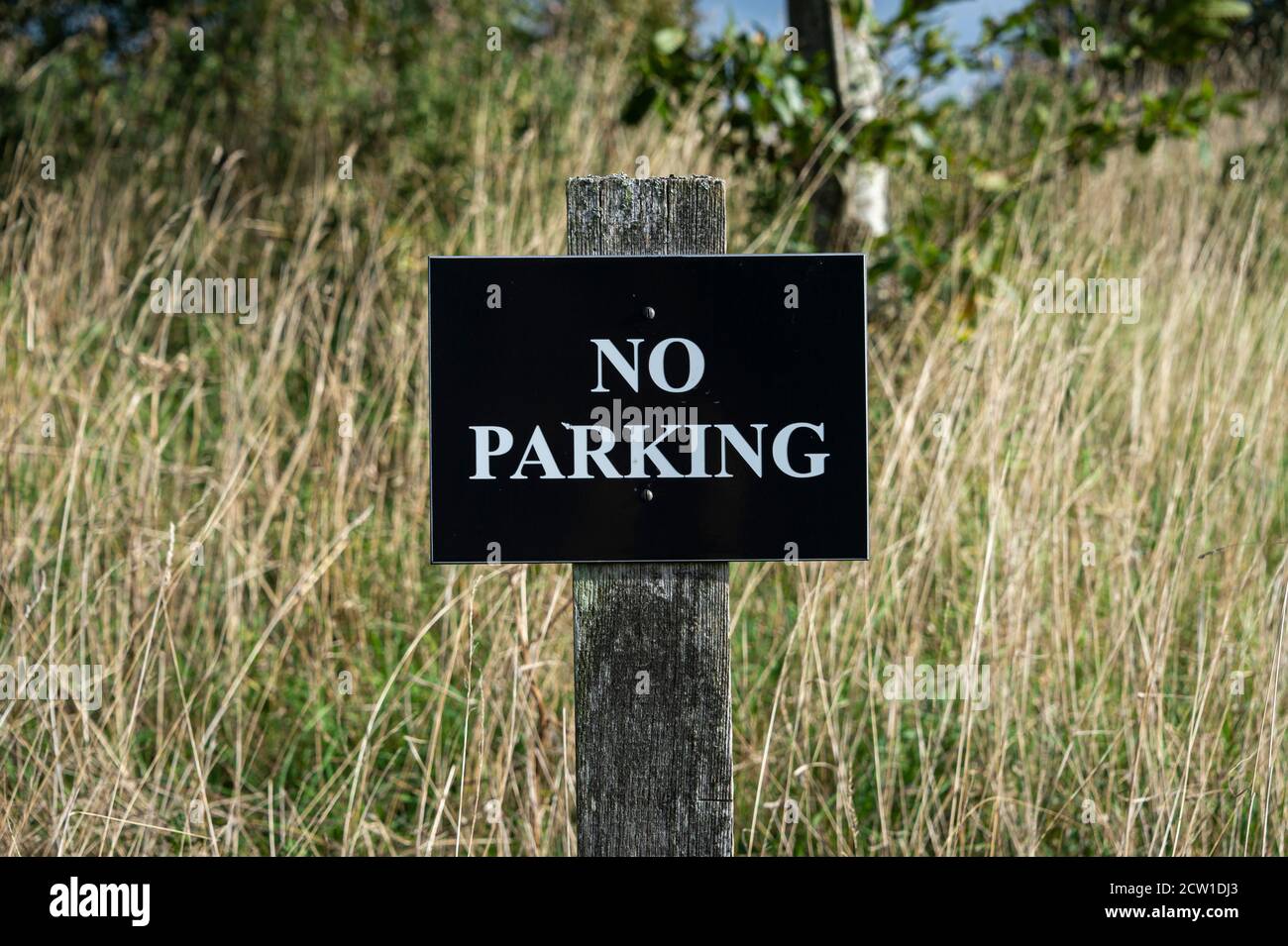 No parking sign on a wooden post Stock Photo - Alamy