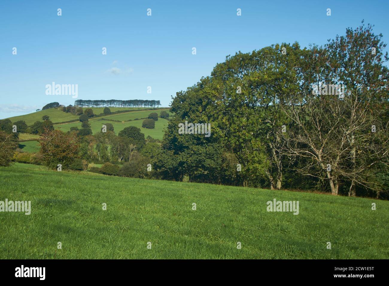 Lush green fields of the Woolley Valley, an Area of Outstanding Natural ...