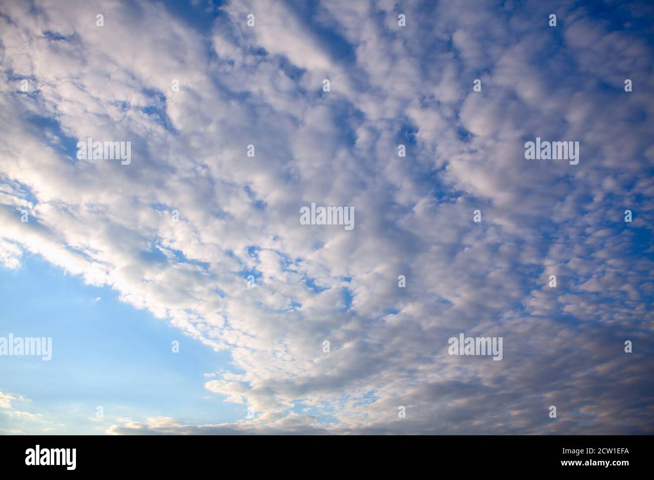 Cirrocumulus clouds in long rows high in the sky Stock Photo - Alamy