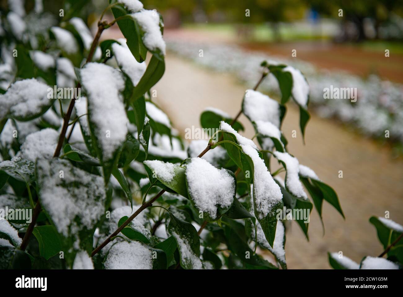 Sudden cold snap hi-res stock photography and images - Alamy