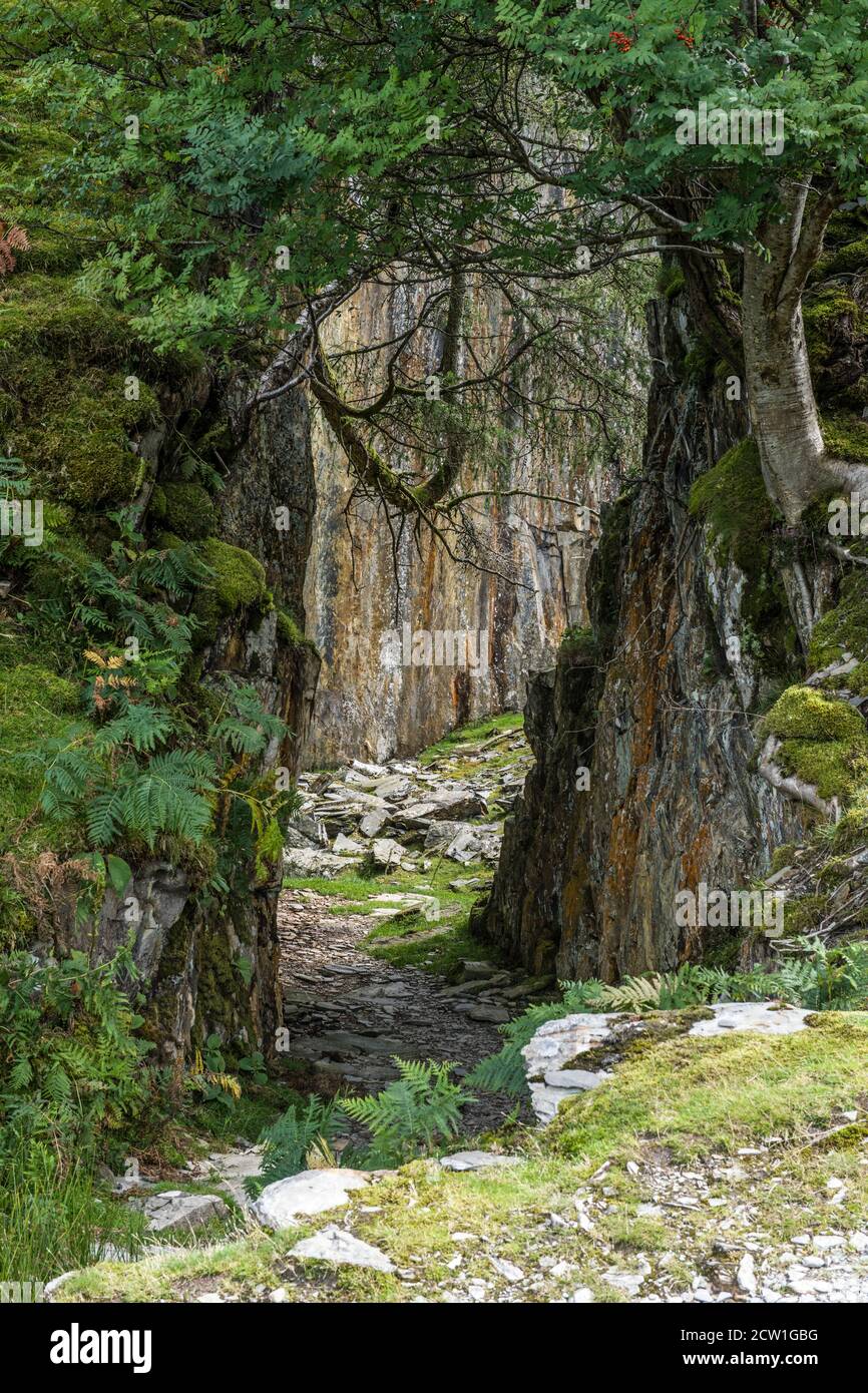 The entrance to a slate quarry at the top of the Tilberthwaite Valley ...
