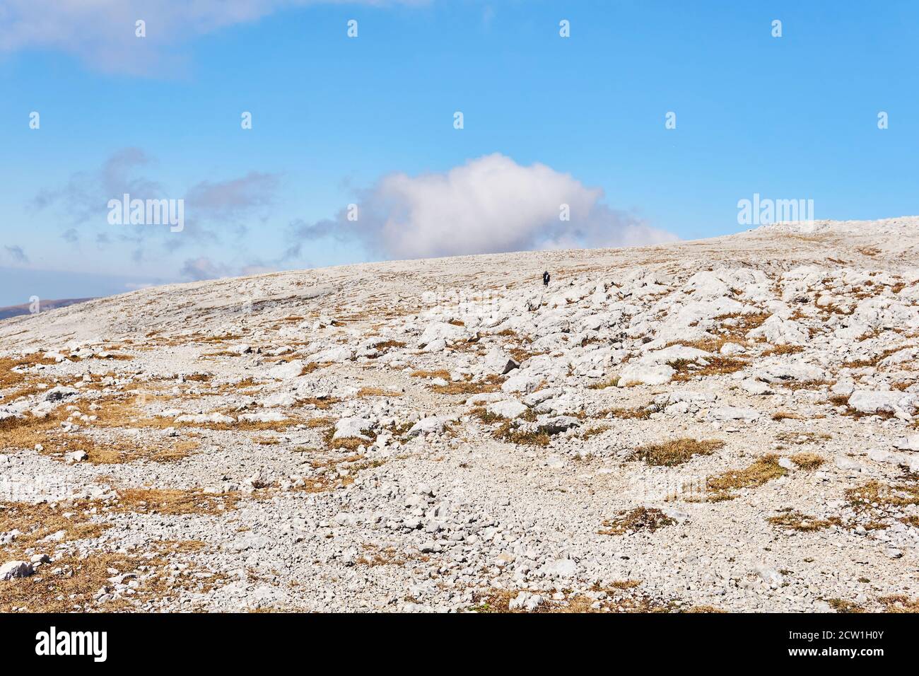 alpine plateau covered with dry grass and white stones, and a couple of ...