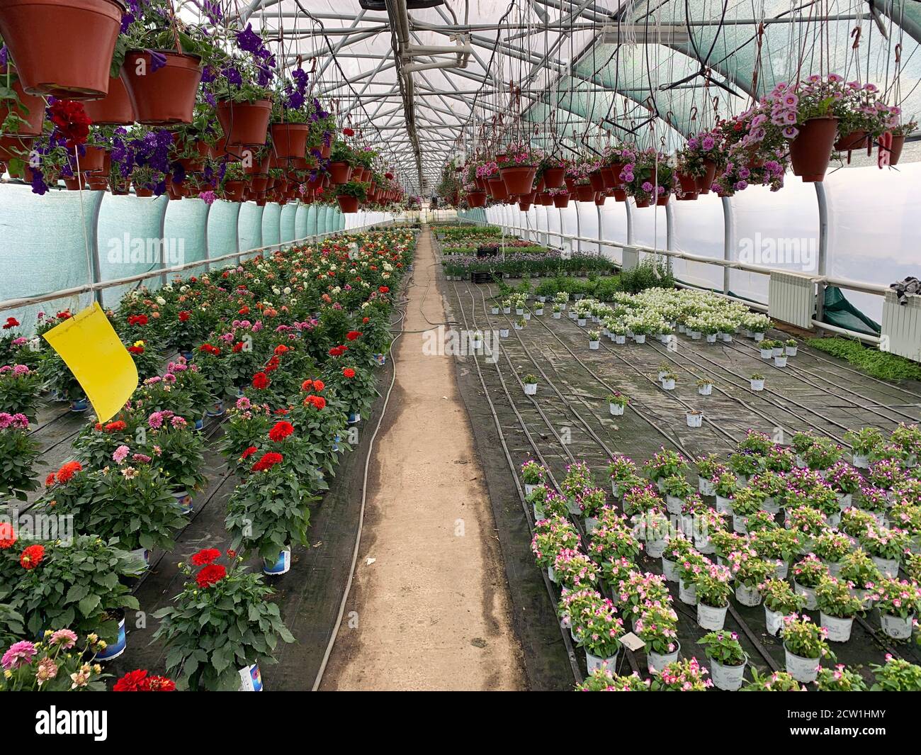 Plant nursery image. High angle view Stock Photo - Alamy