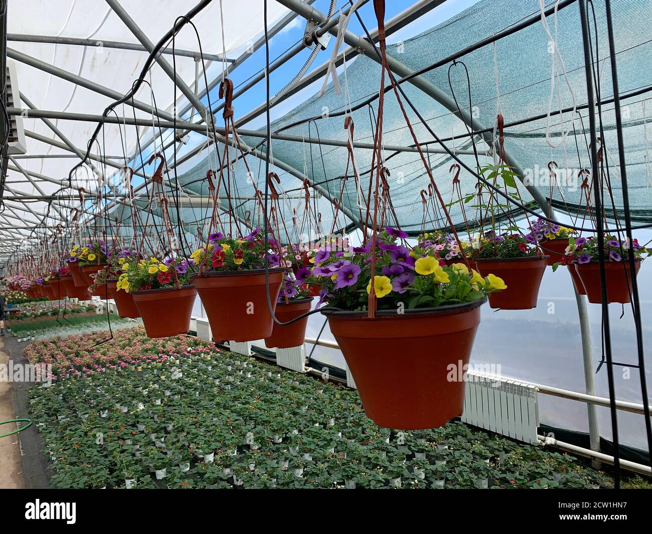 Plant nursery image. High angle view Stock Photo - Alamy