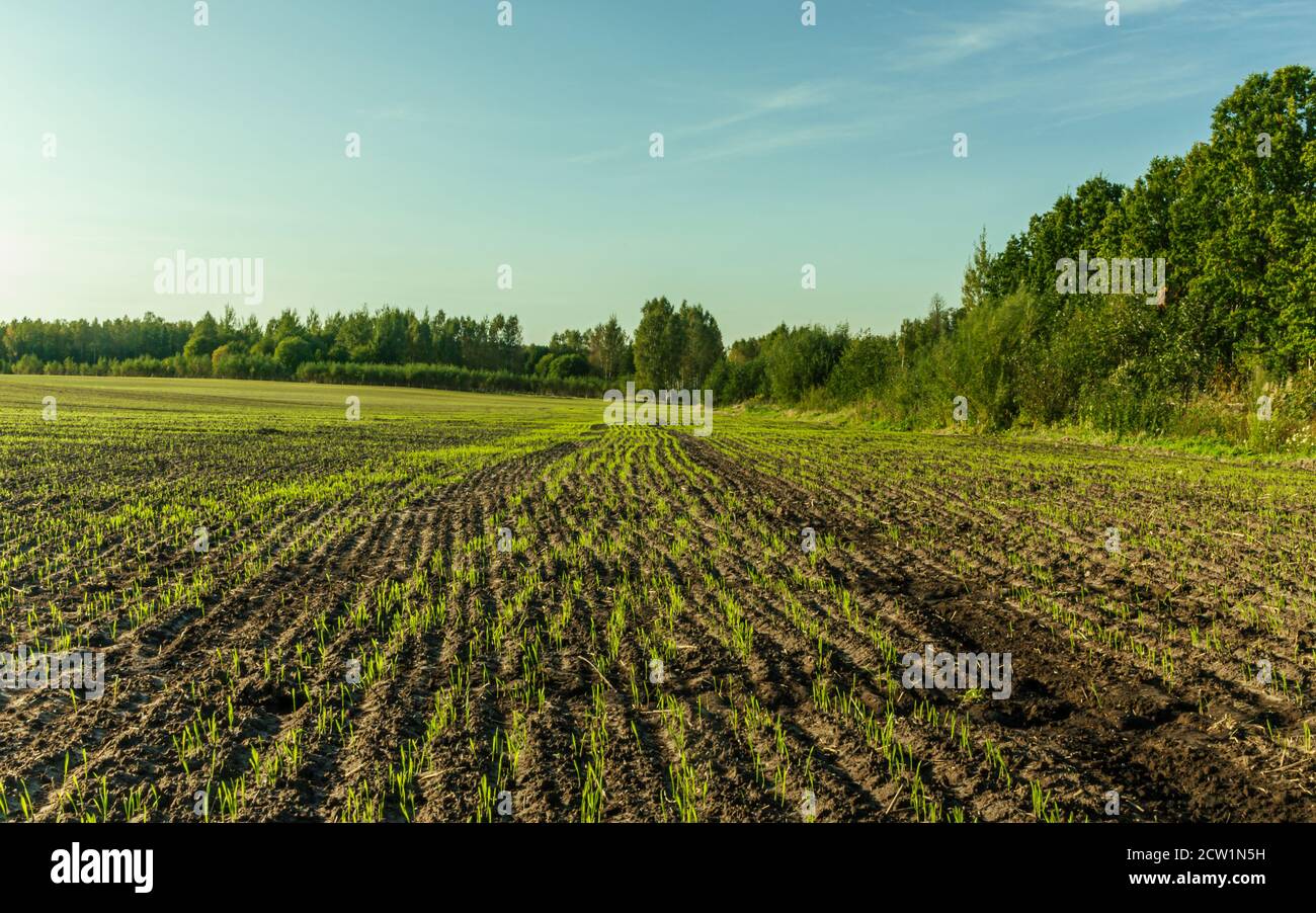 Side view of green tractor hi-res stock photography and images - Alamy