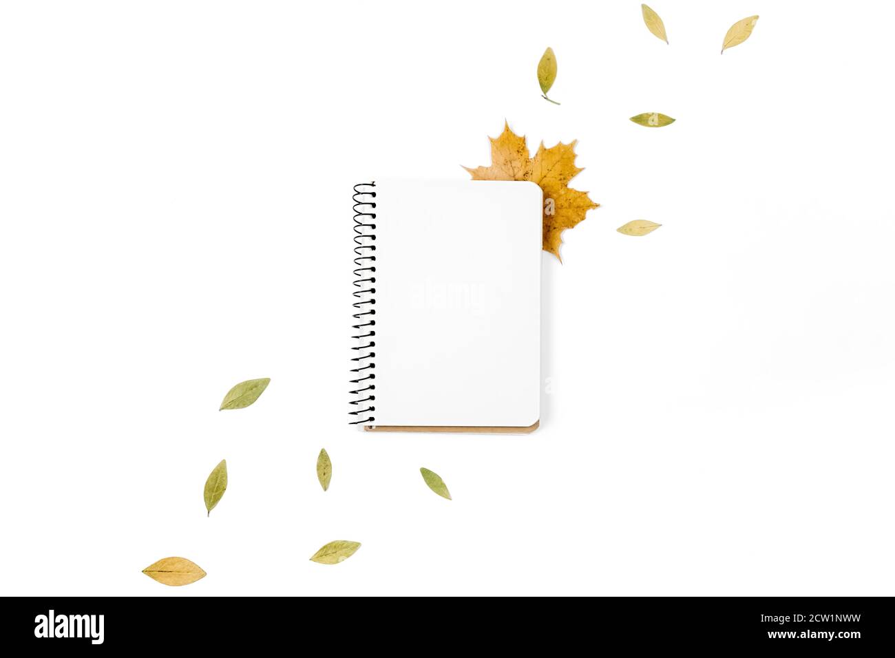 Autumn still life flatlay Cut Out Stock Images & Pictures - Alamy