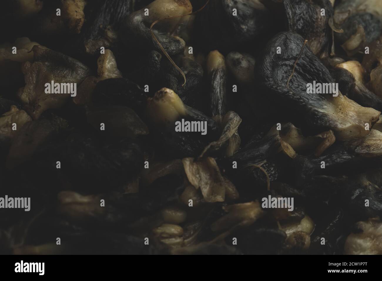 Macro close up of cooked huitlacoche mexican dish, edible fungus from ...