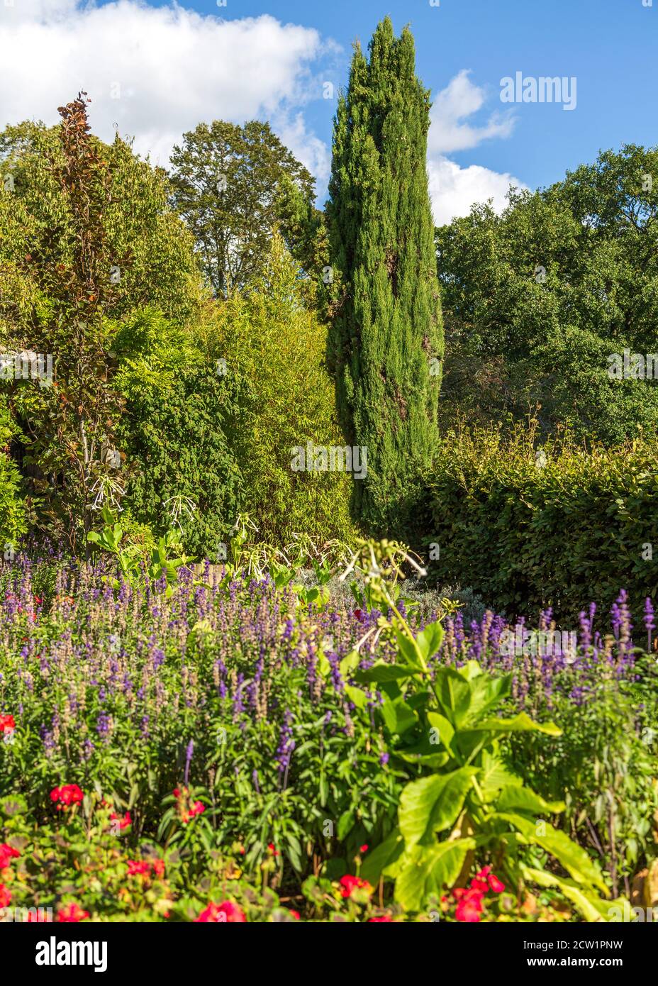 Brinton Park Kidderminster on a sunny but windy day Stock Photo - Alamy