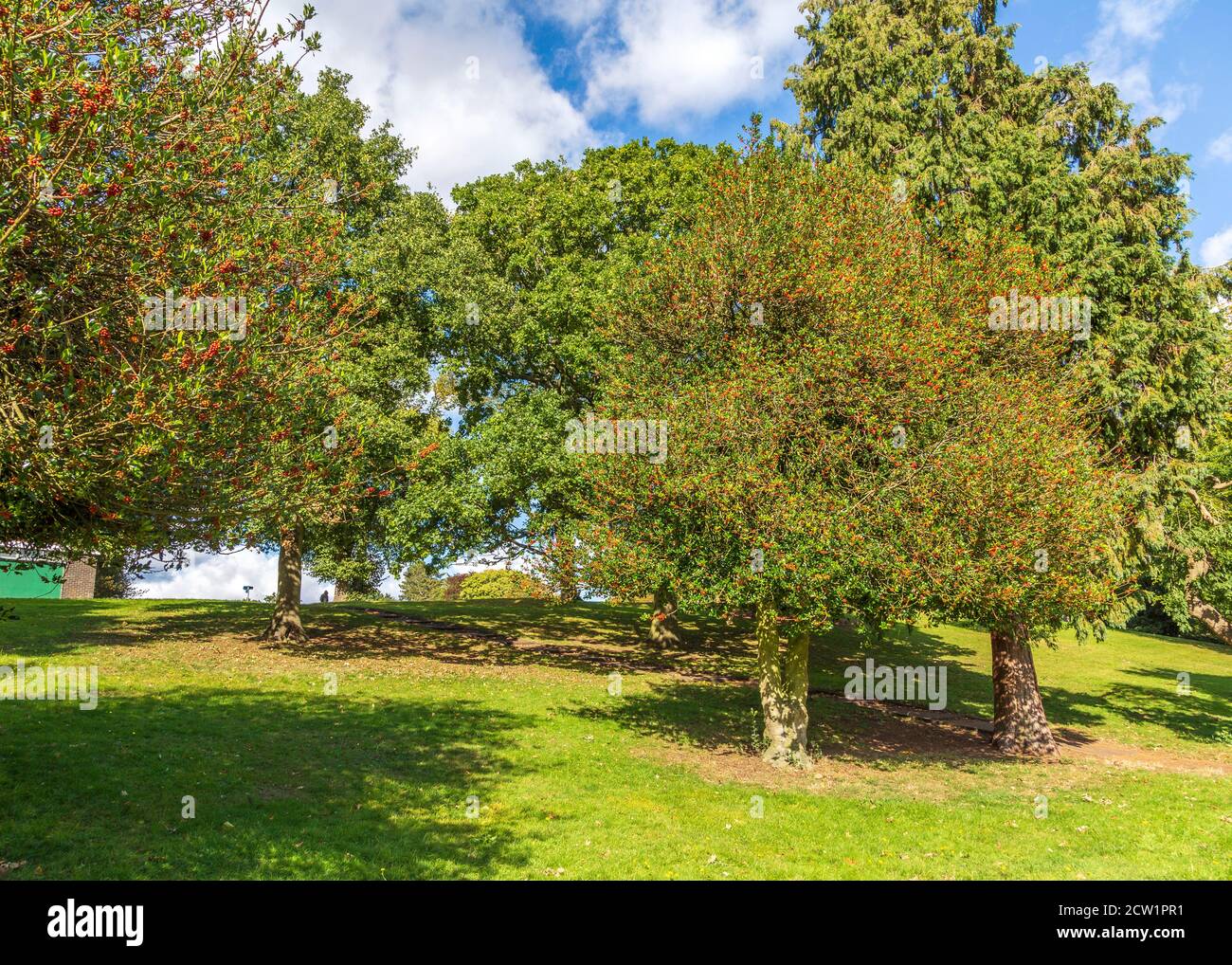 Brinton Park Kidderminster on a sunny but windy day Stock Photo - Alamy
