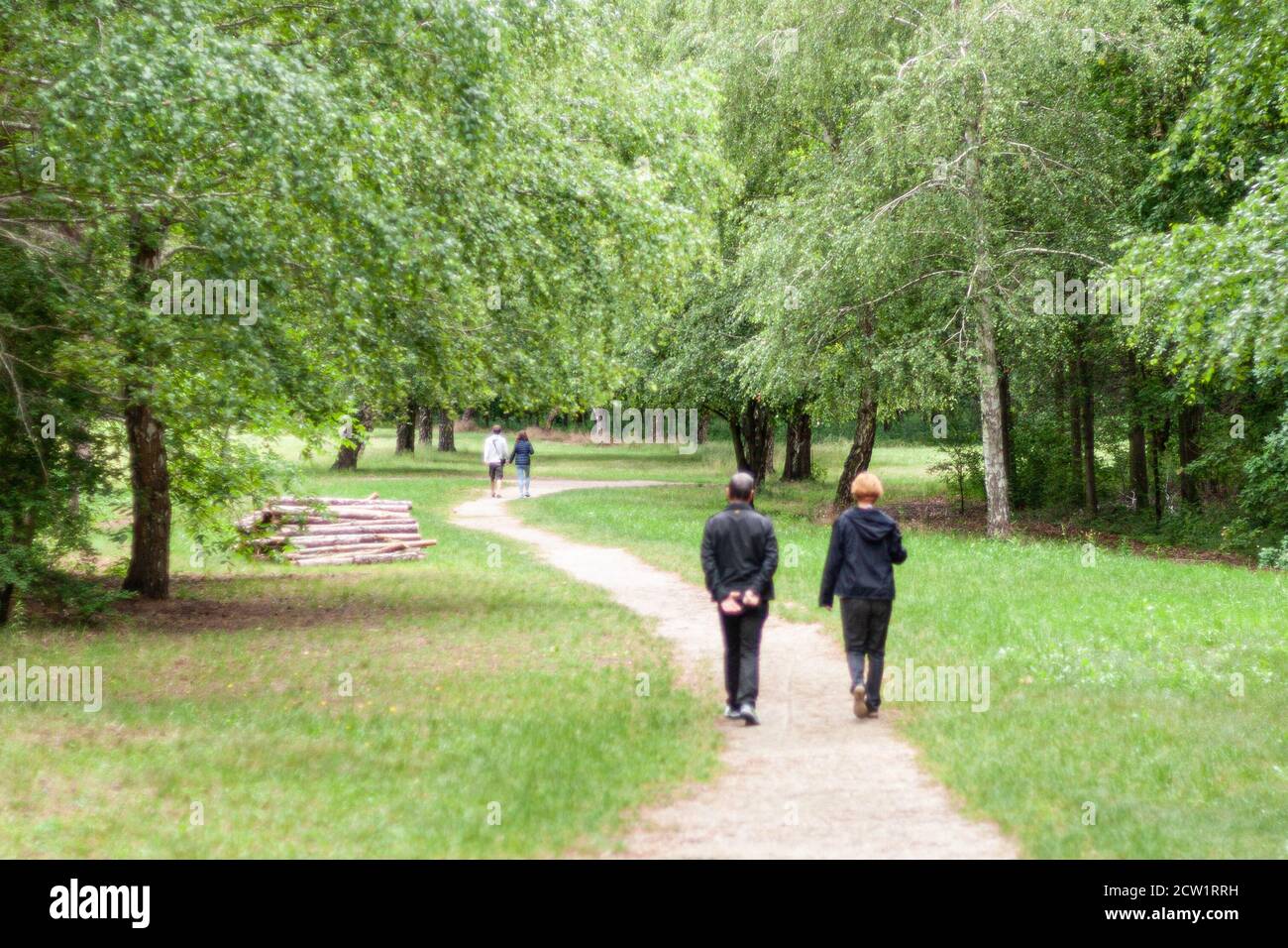 Two couples walking in the forest Stock Photo - Alamy