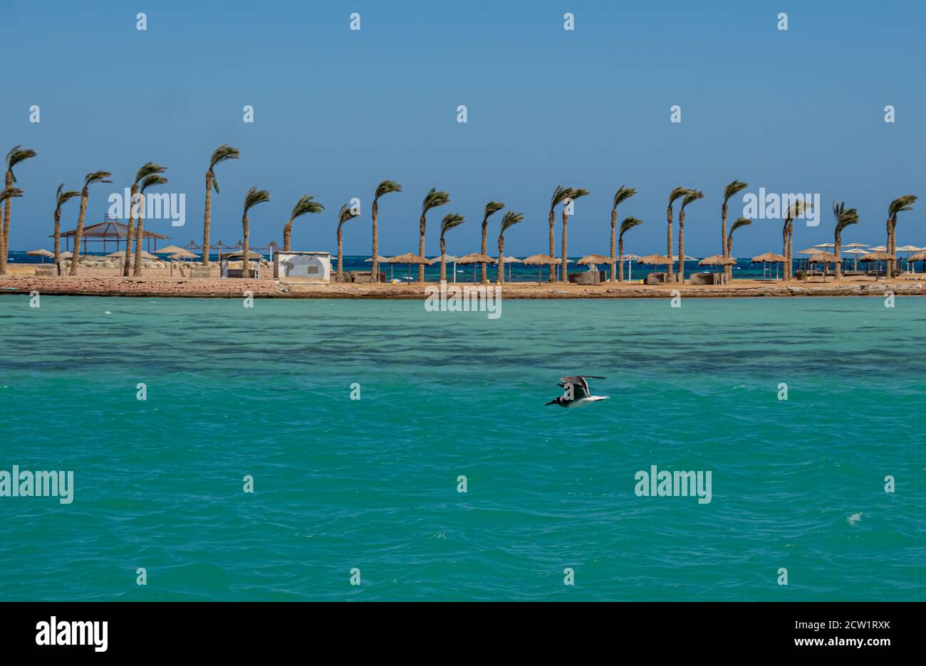 Panoramic view from Hurghada beach, Egypt september 2018 Stock Photo ...