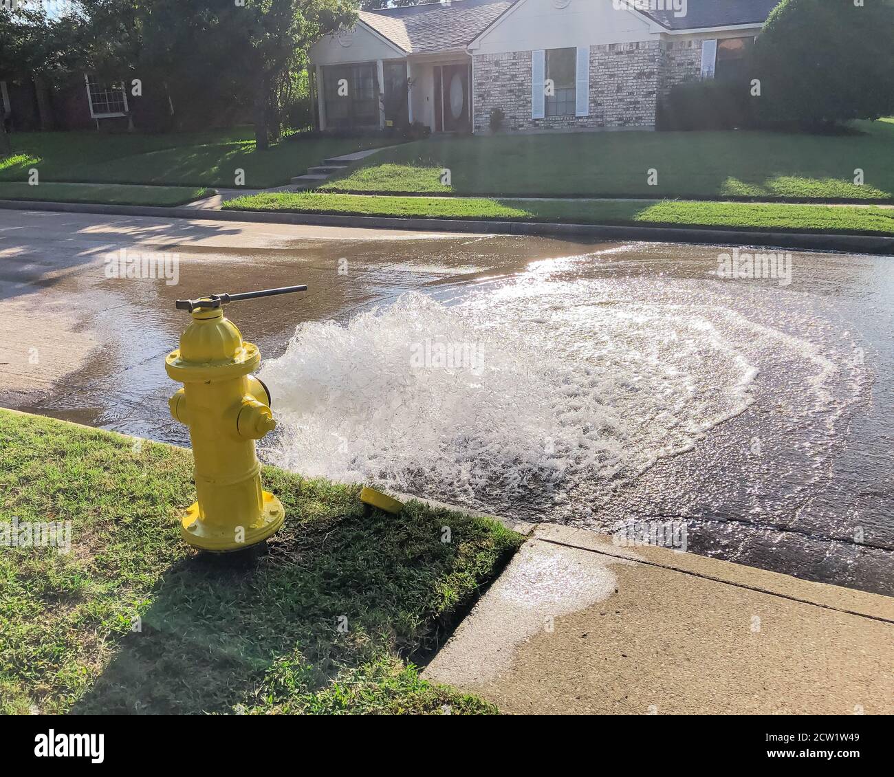 Opened yellow fire hydrant gushing water across a residential street ...
