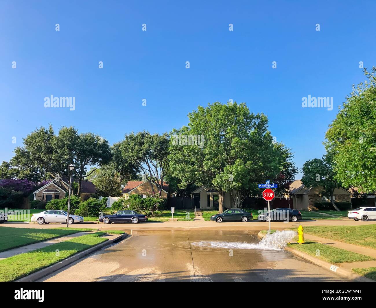 Testing yellow fire hydrant gushing water across a residential street ...