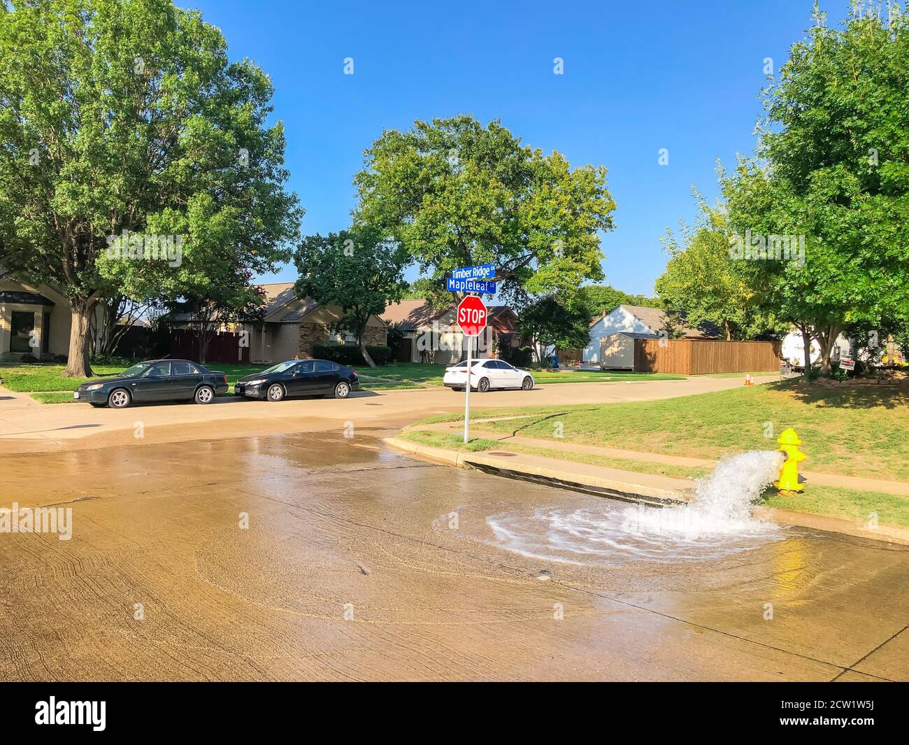 Typical neighborhood area with stop sign near Dallas, Texas, America ...