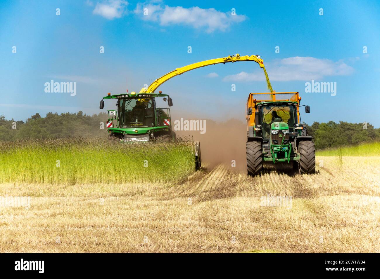 John Deere self-propelled harvester cutting bio fuel crop Stock Photo ...