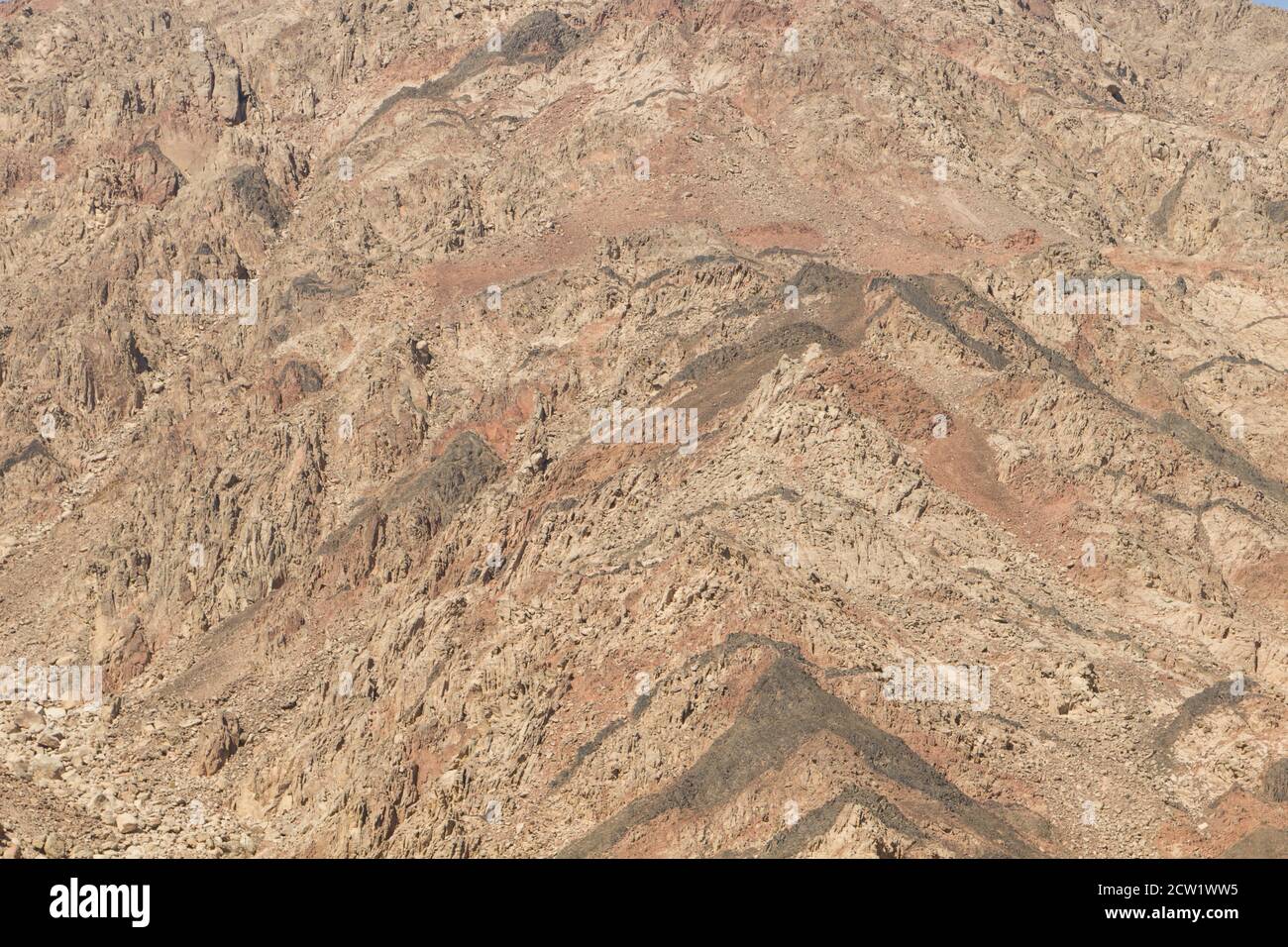 Fossil layer ground surface hi-res stock photography and images - Alamy