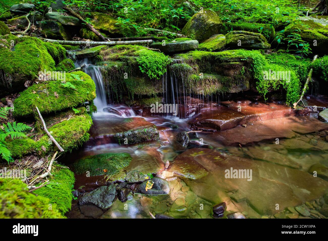 Peaceful view of summer river flowing through the green rocks ...