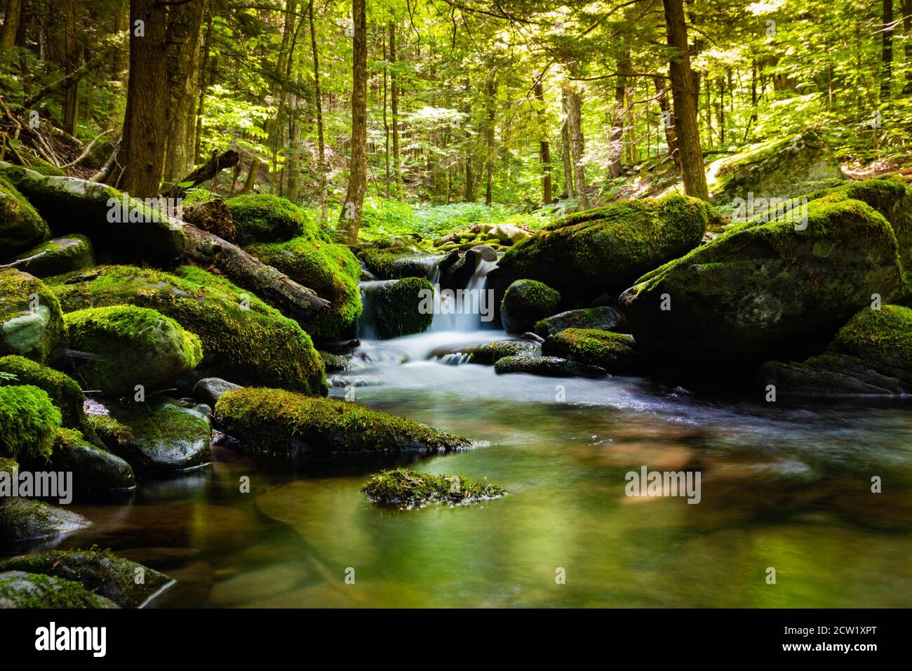 Peaceful view of summer river flowing through the green rocks ...