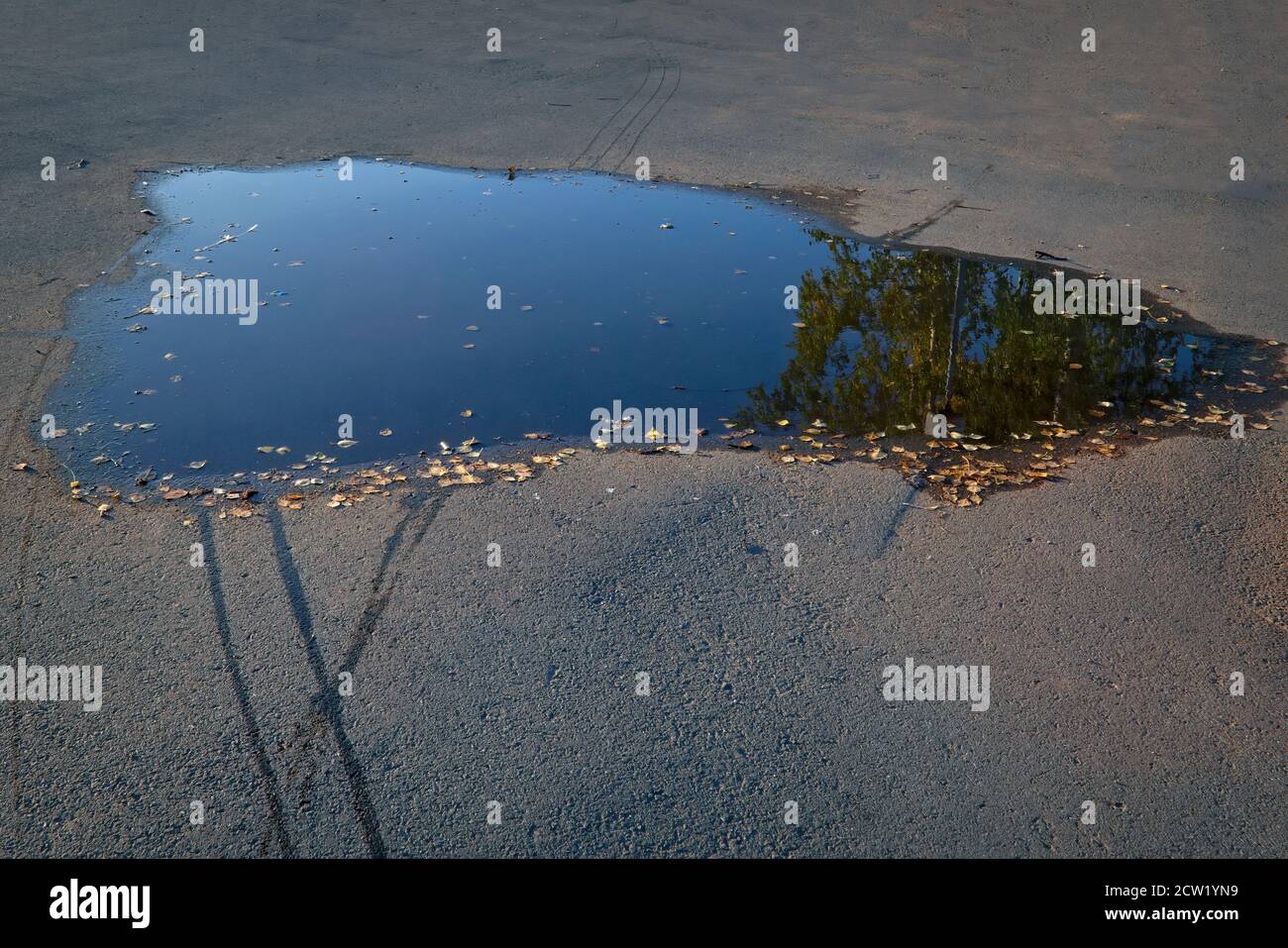 Puddle on the asphalt. A puddle on the sidewalk with a reflection of ...