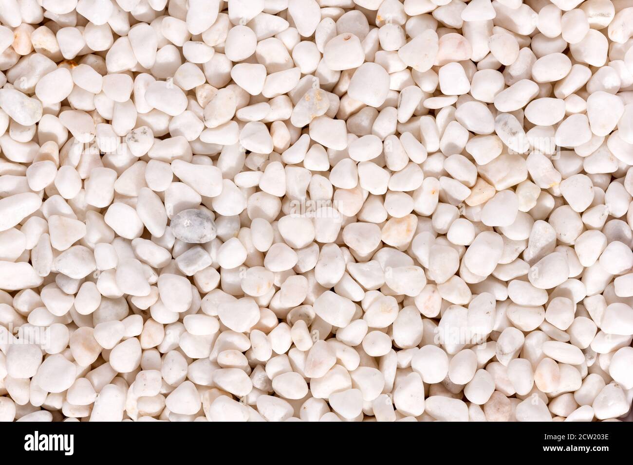 Alaskan white hi-res stock photography and images - Alamy
