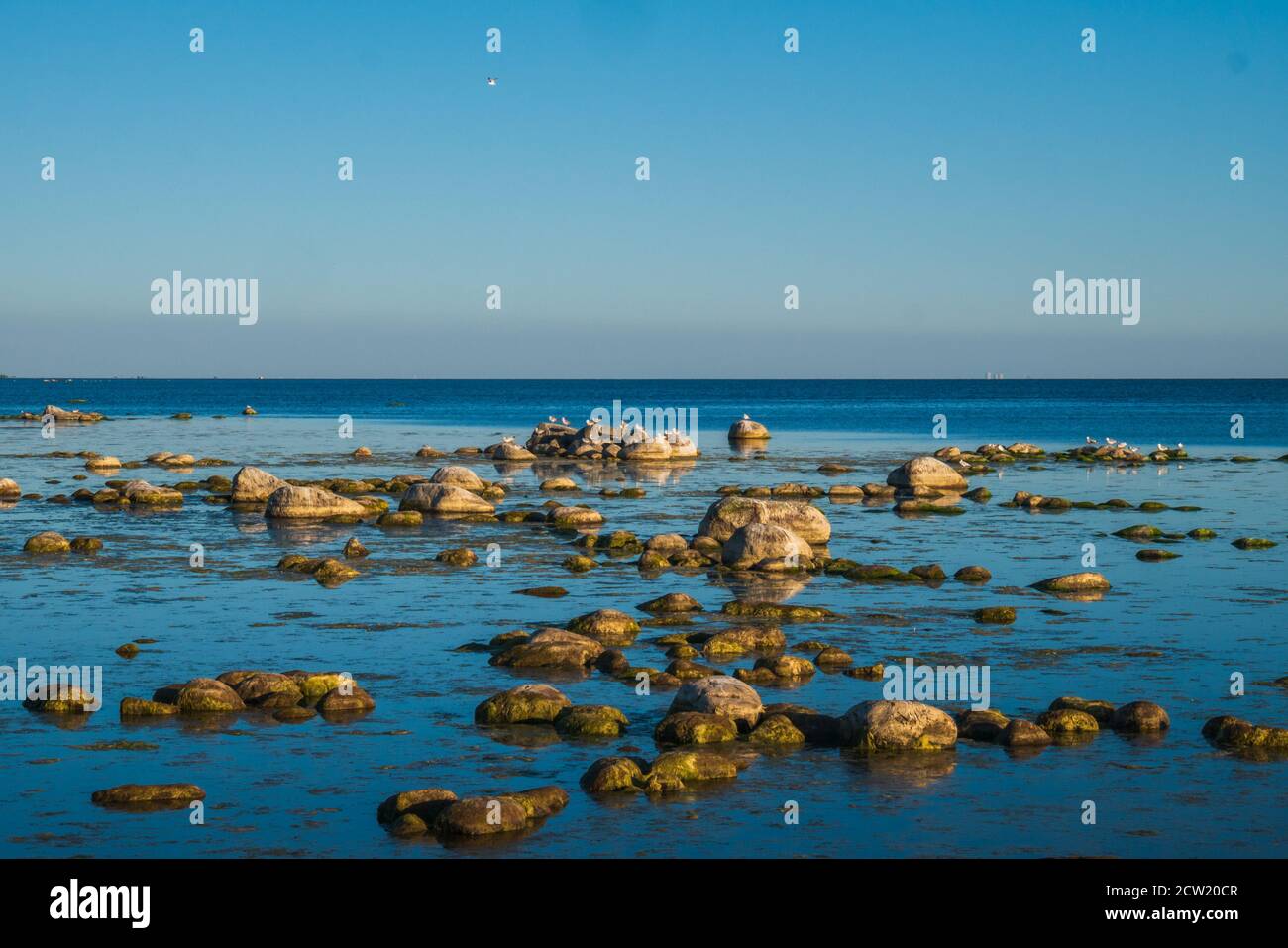 Myriad of colours hi-res stock photography and images - Alamy