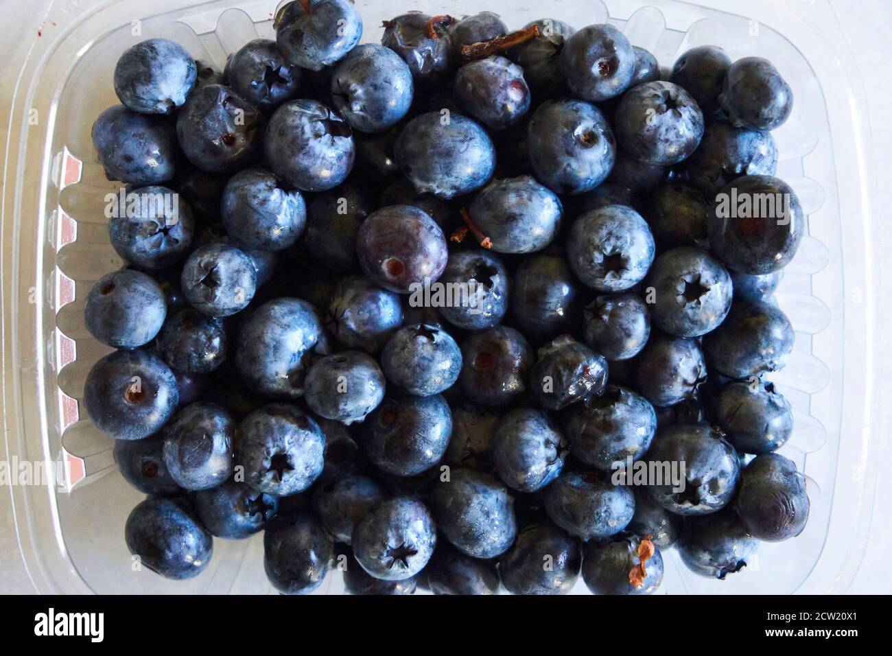 Container of organic blueberries Stock Photo - Alamy