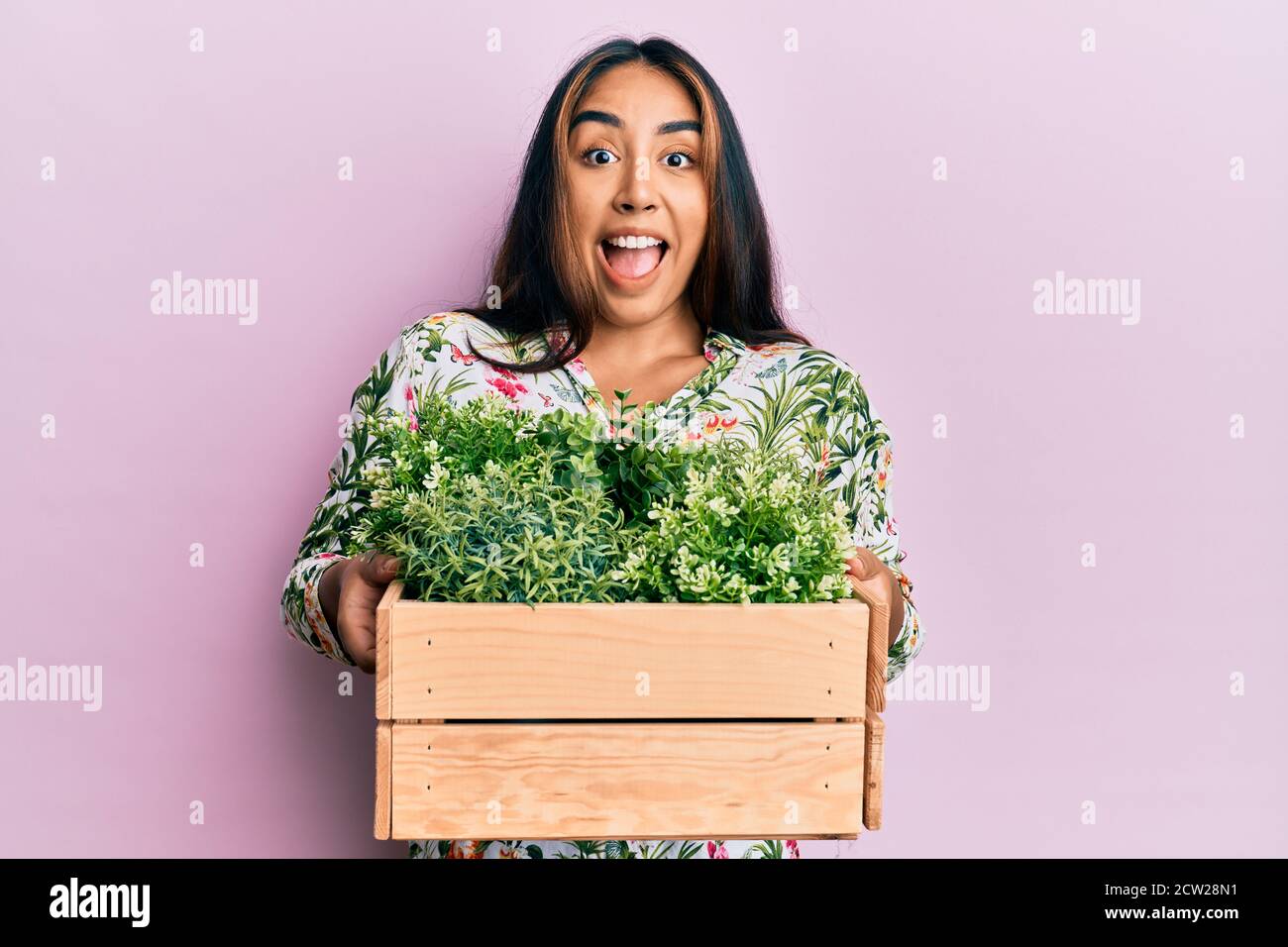 Young latin woman holding wooden plant pot celebrating crazy and amazed ...