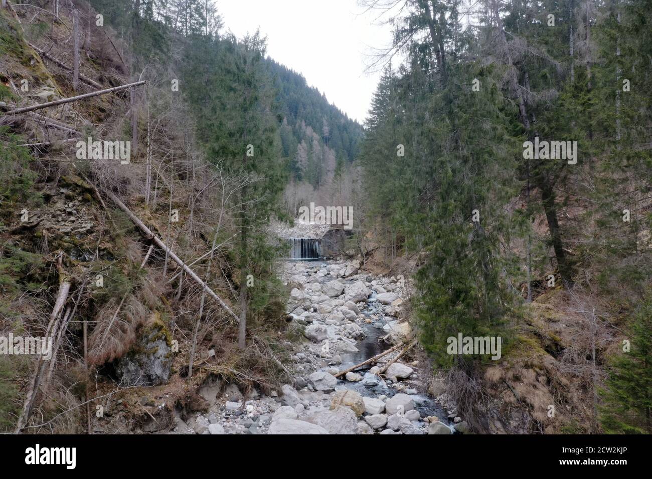 alpine river creek fresh clean water top view Stock Photo - Alamy