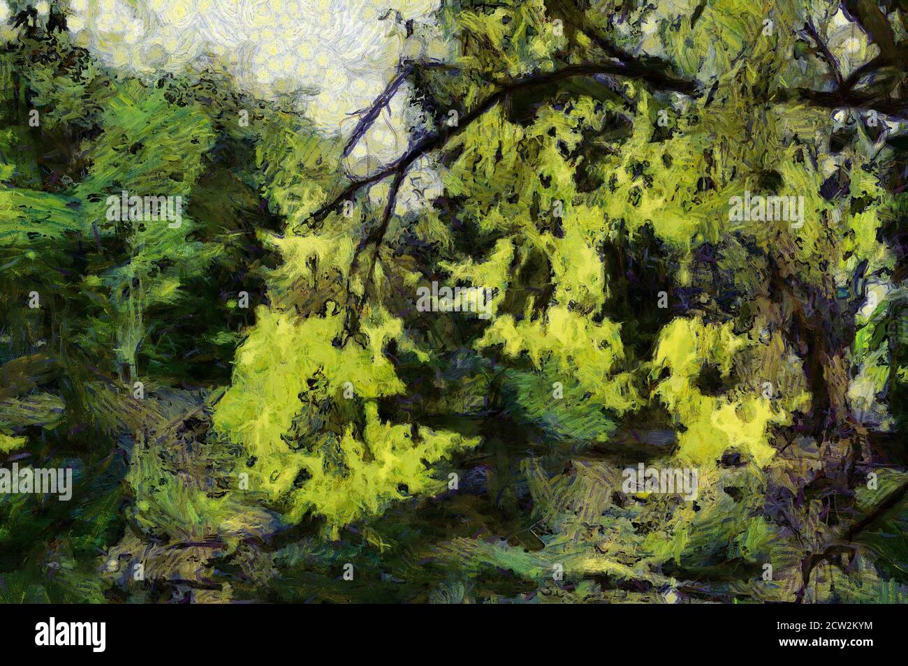 Trees and branches Illustrations creates an impressionist style of ...