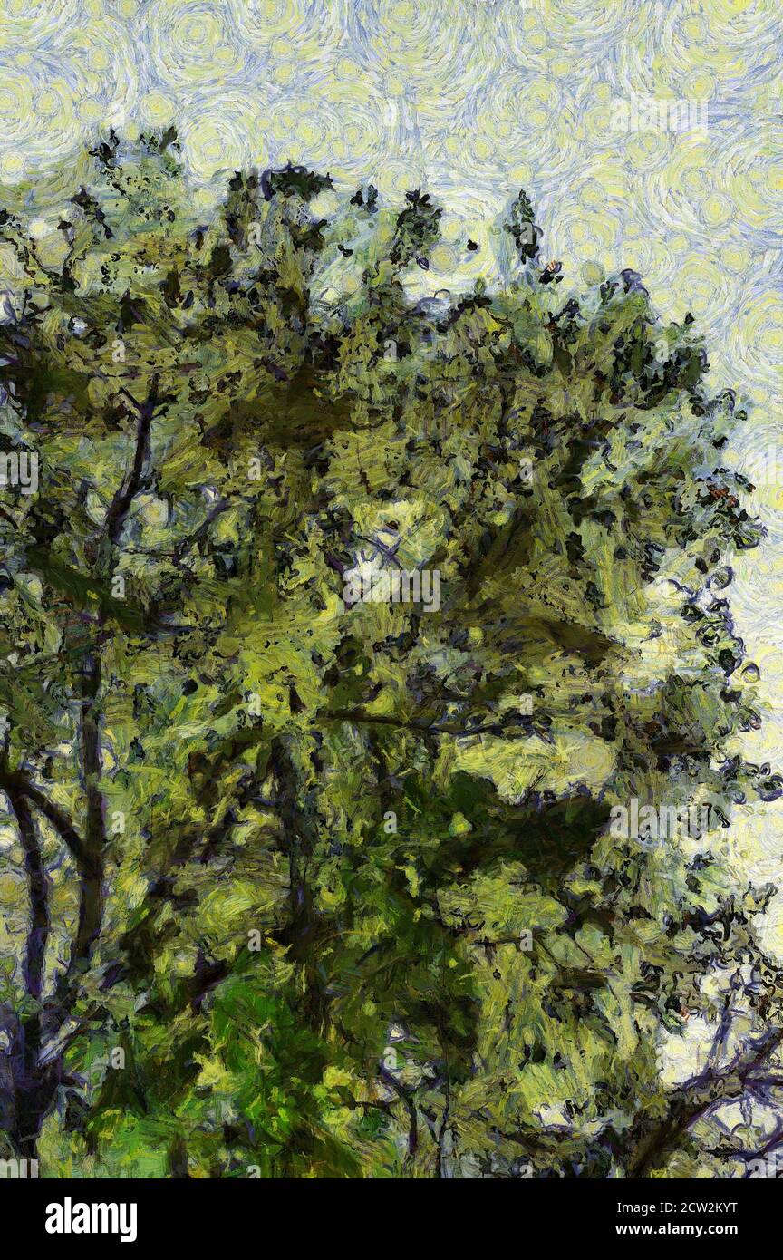 Trees and branches Illustrations creates an impressionist style of ...