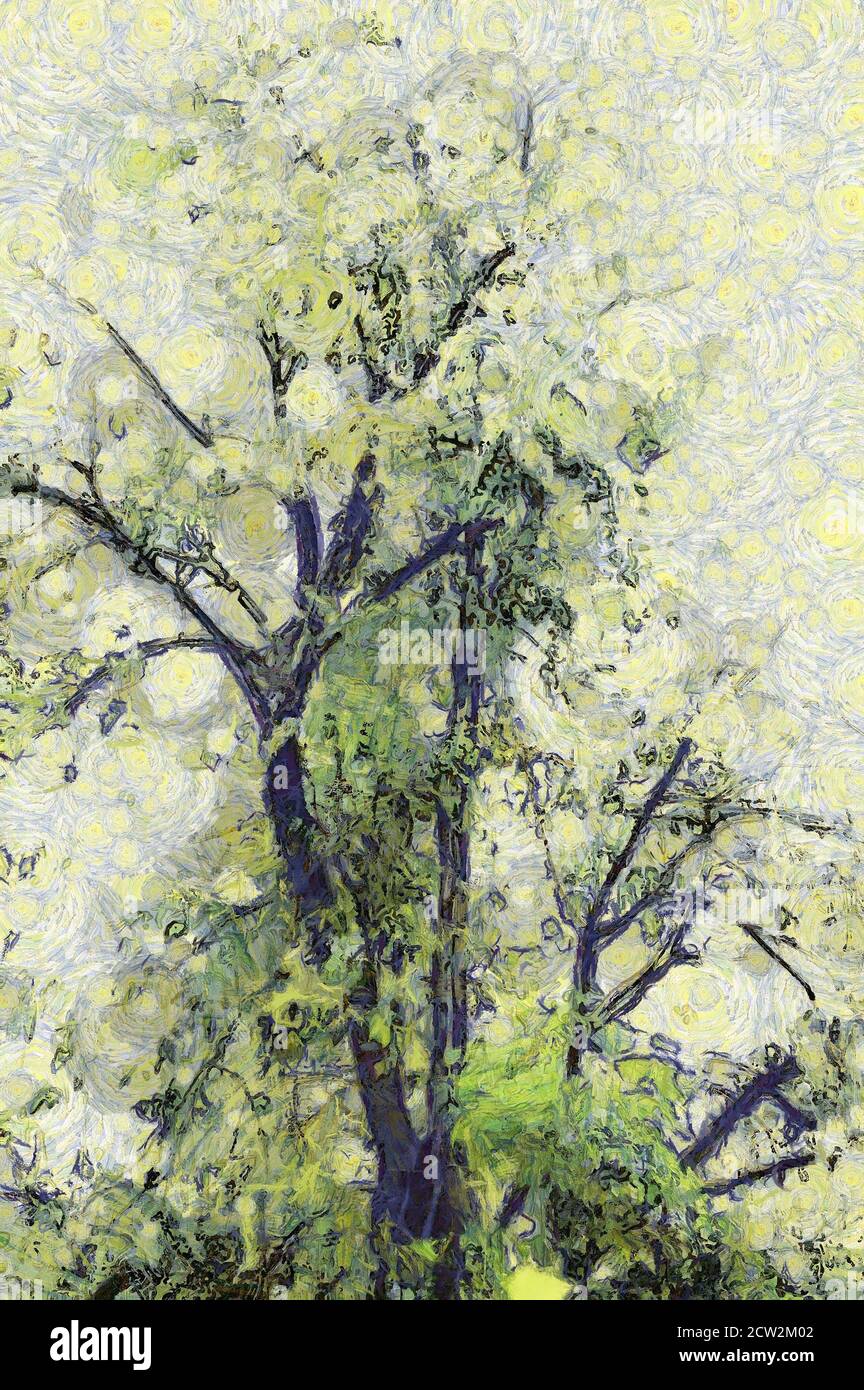 Trees and branches Illustrations creates an impressionist style of ...