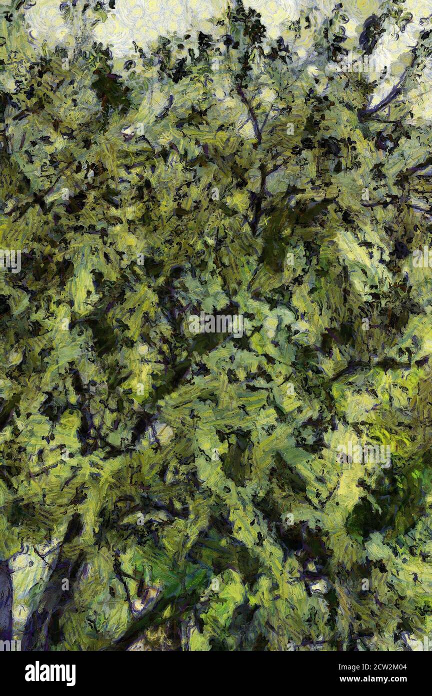 Trees and branches Illustrations creates an impressionist style of ...