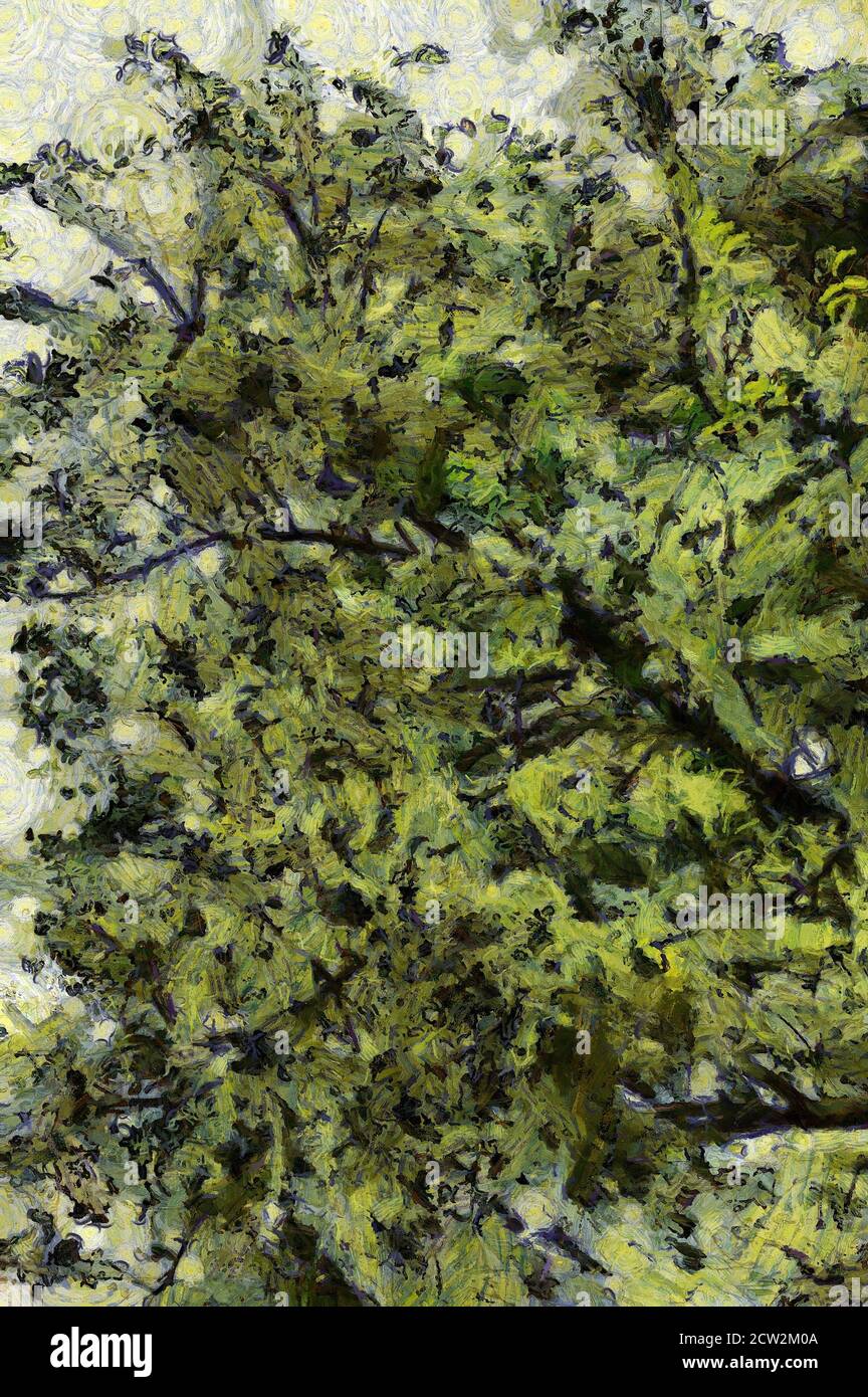 Trees and branches Illustrations creates an impressionist style of ...