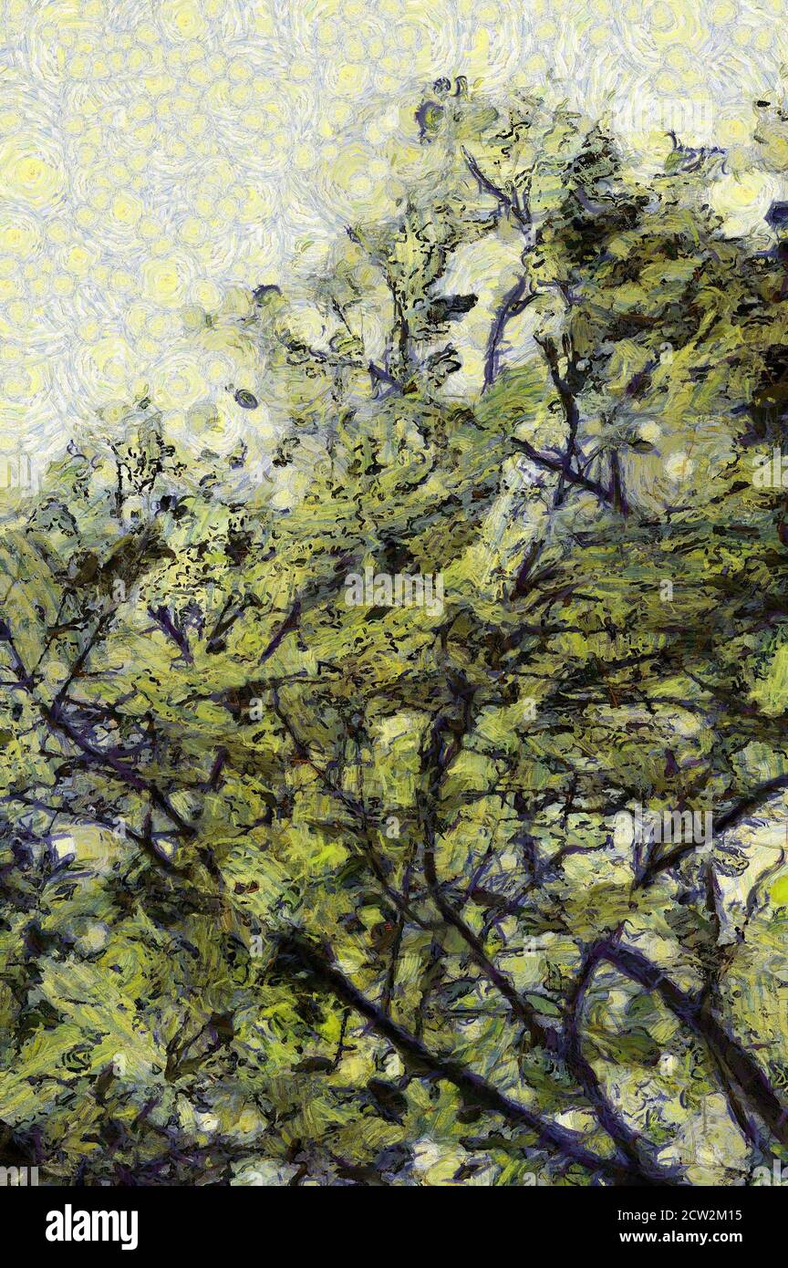 Trees and branches Illustrations creates an impressionist style of ...