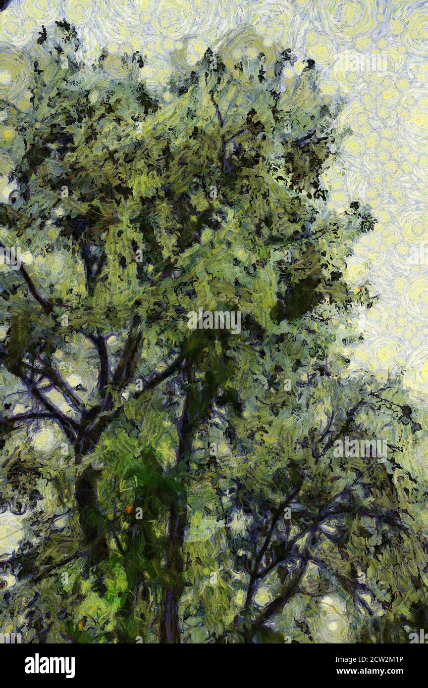 Trees and branches Illustrations creates an impressionist style of ...